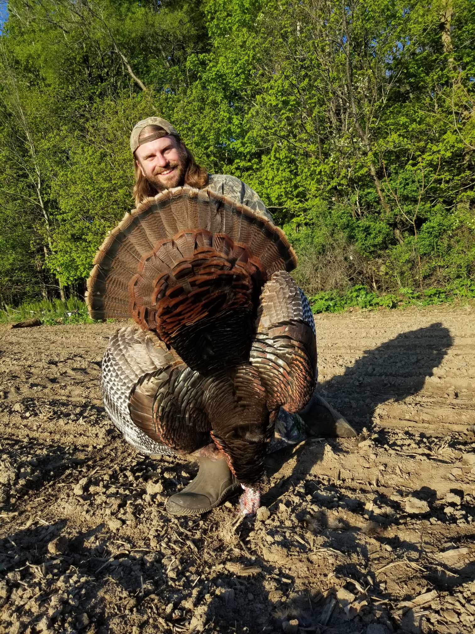 Wisconsin Spring Turkey Hunts | Stevens Point, Wisconsin Turkey Hunting ...