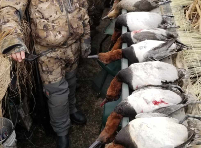 Wisconsin Duck Hunts | Mississippi River Waterfowl Hunting Outfitter